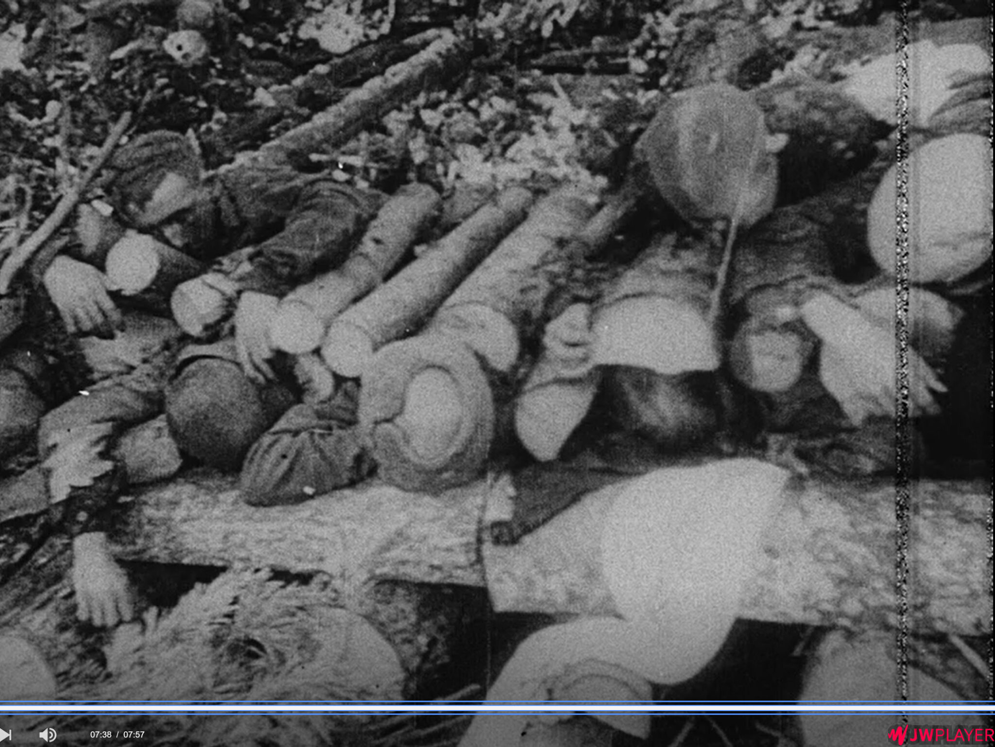 Soviet Photos of the Klooga Camp Revisited • CODOH